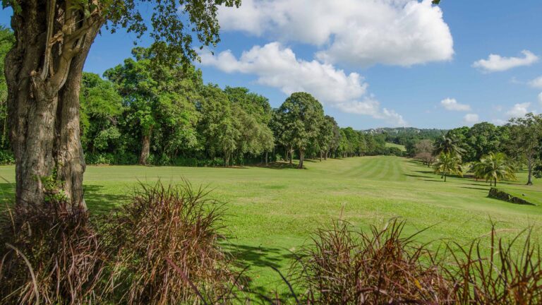 Golf auf Jamaika | Sandals Upton Estate Golf & Country Club